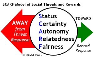 Modelo SCARF: 5 elementos para mejorar tus resultados basados en el ...